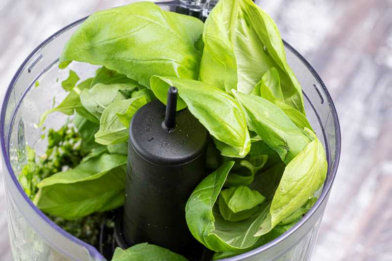 Making The Best Basil Pesto. - The Westcoaster