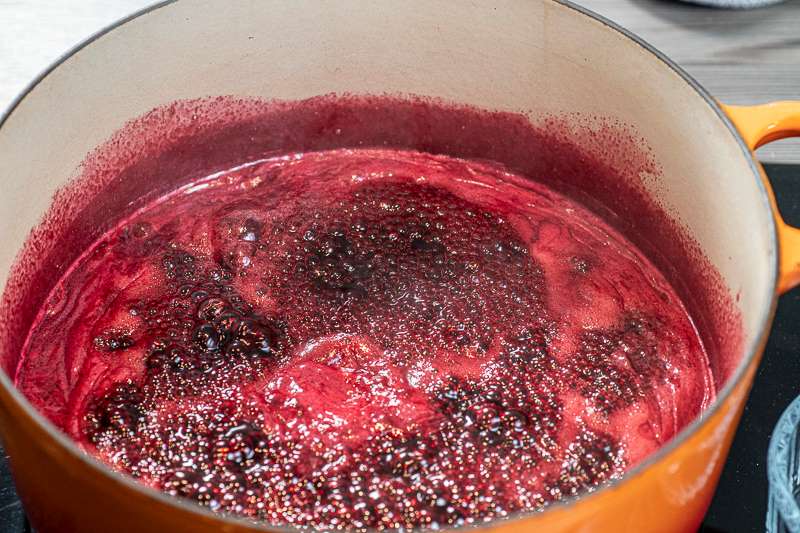 How to Make Blackberry Jelly, and why fruit jellies work.