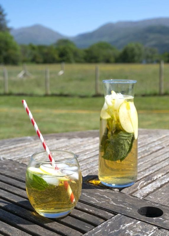 How to Make, Elderflower, Apple, and Mint Fizz.